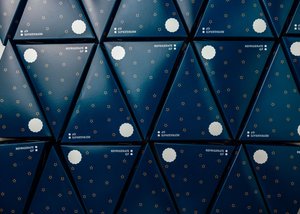 Winston Pies Pre-Order Shipping & Delivery