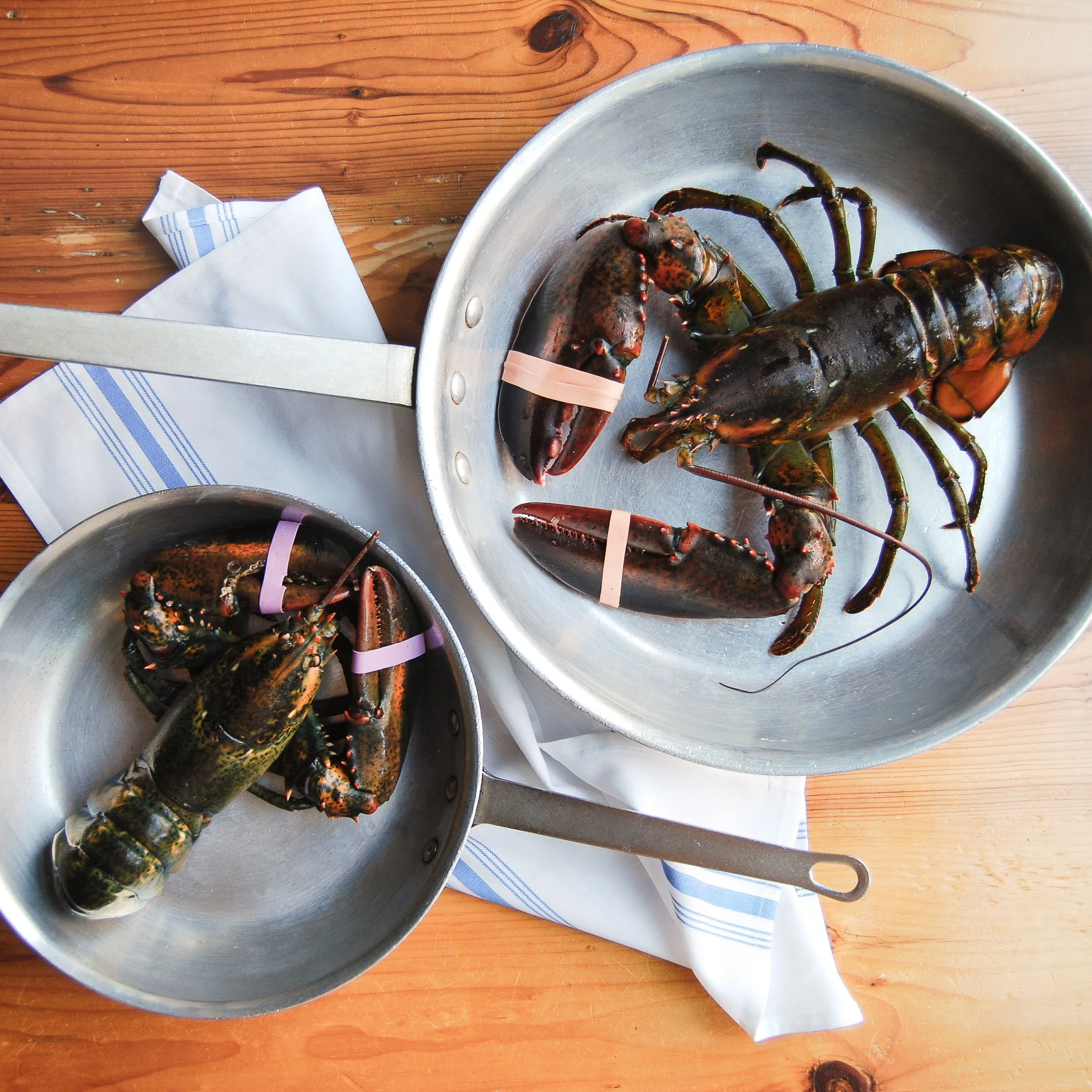 MENU — SCALES & SHELLS