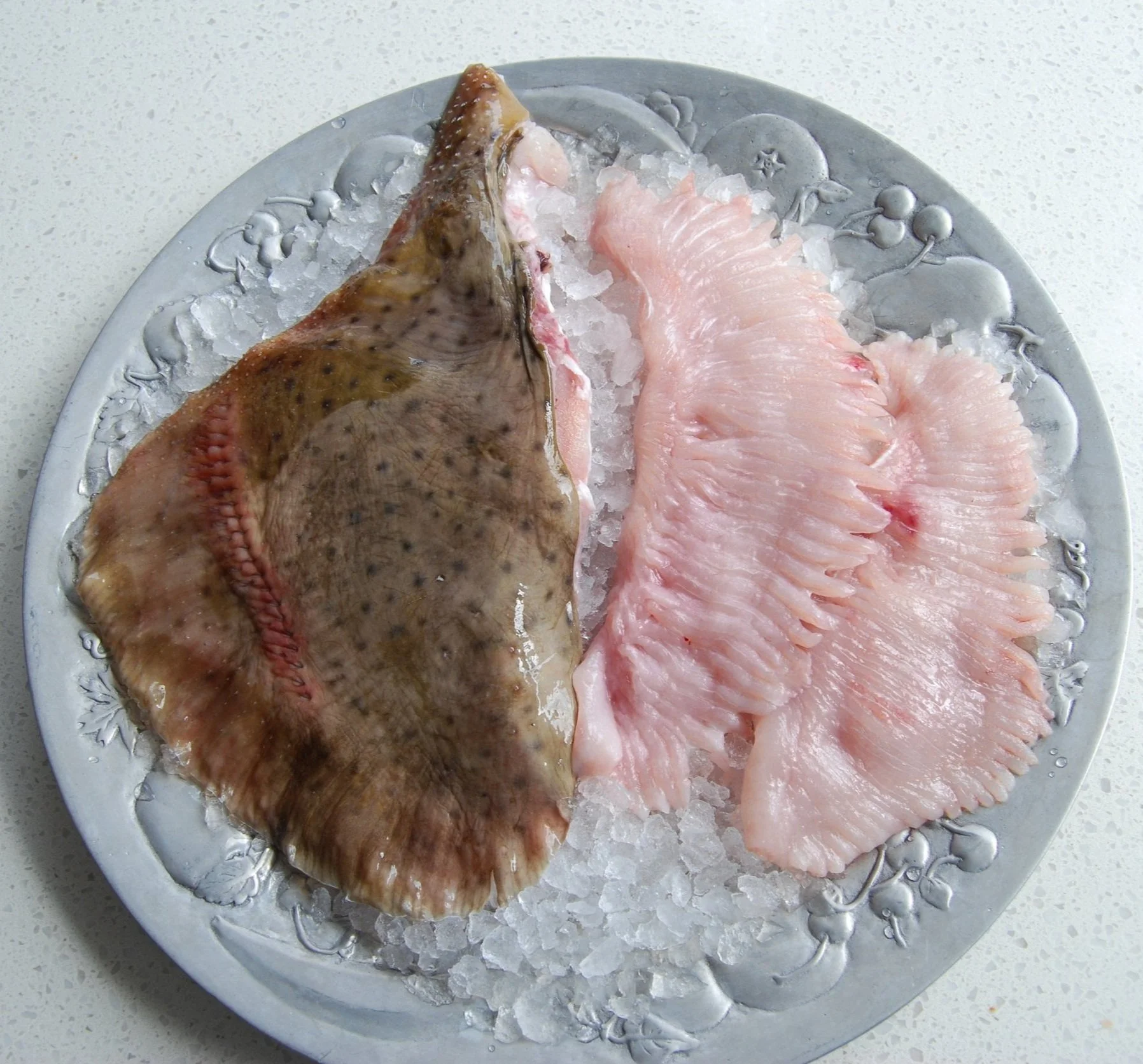 Stingrays Are Made From Scallops