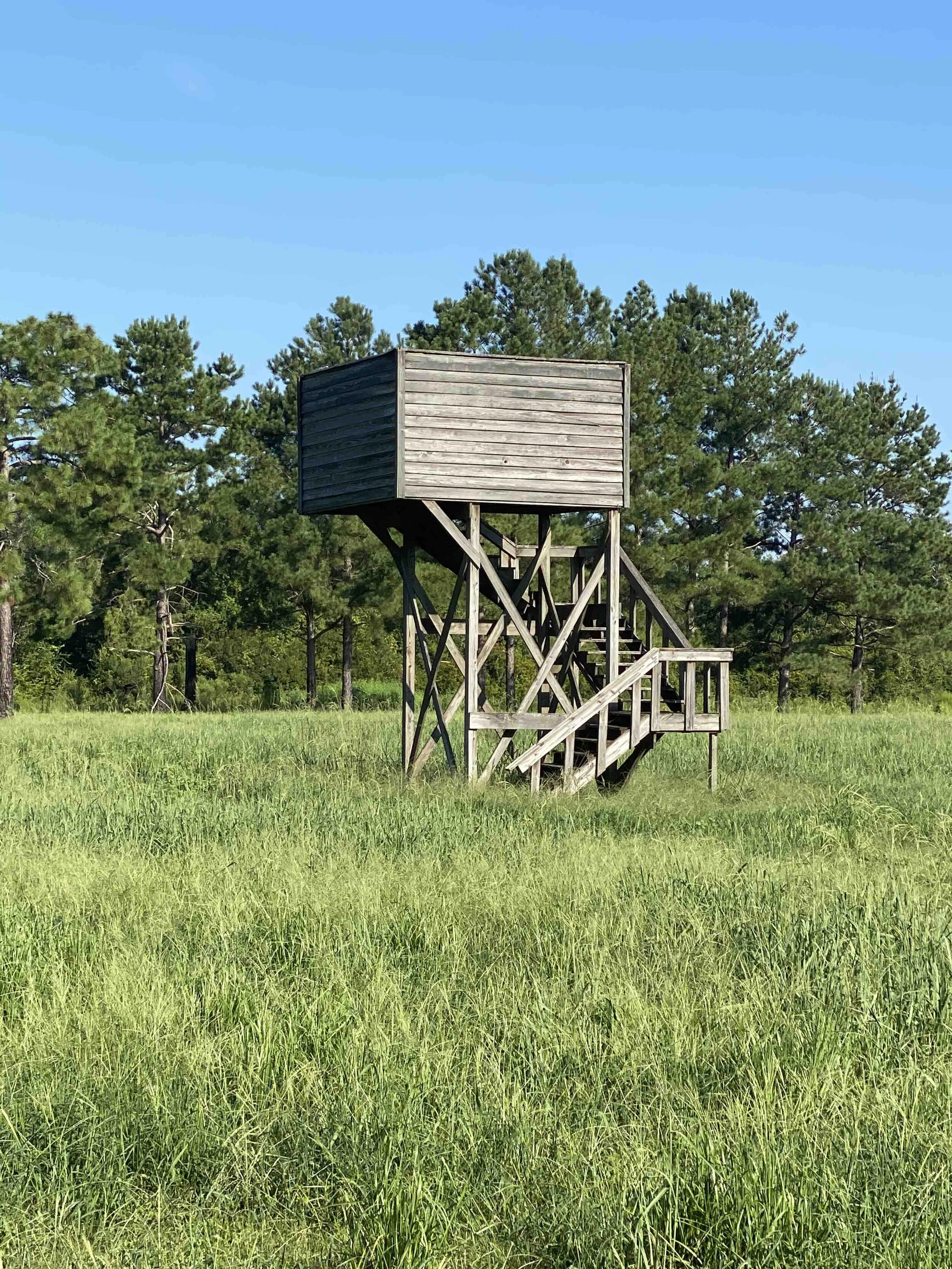 Georgia Quail Hunts - Shadow Oak Plantation