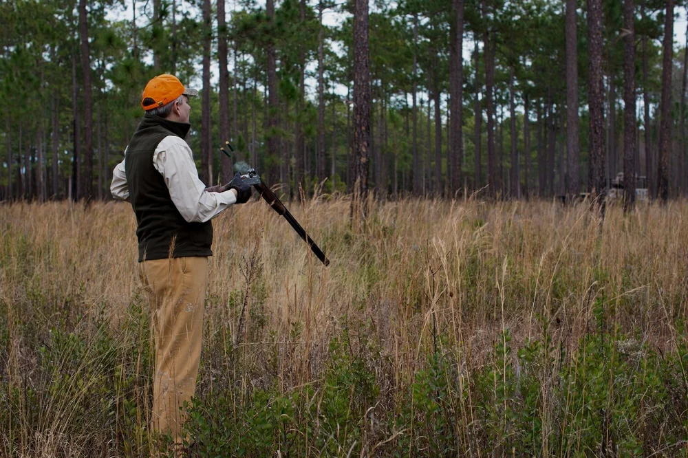Georgia Quail Hunting at Its Best - Shadow Oak Plantation