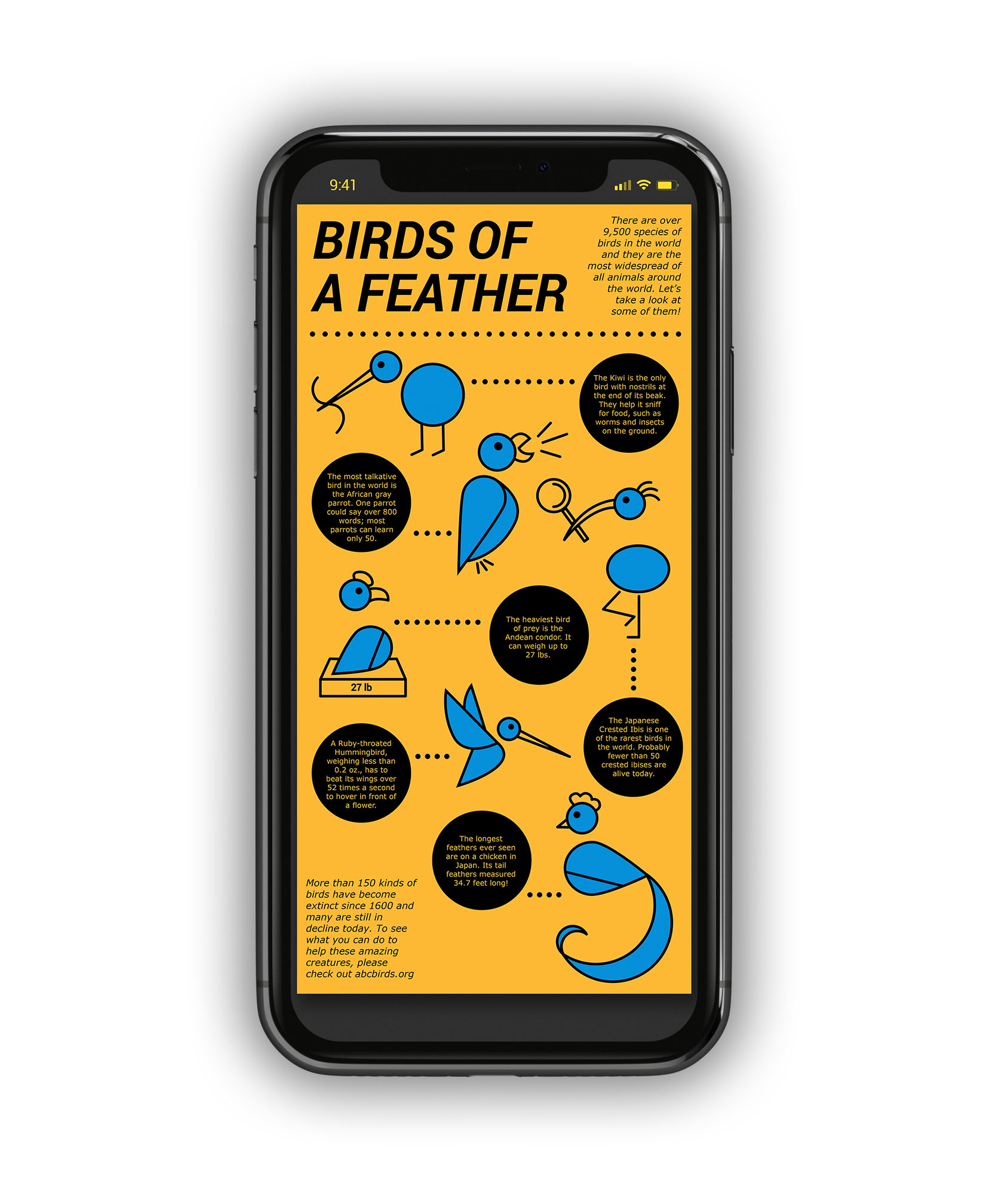 Bird Infographic — fernandezzza