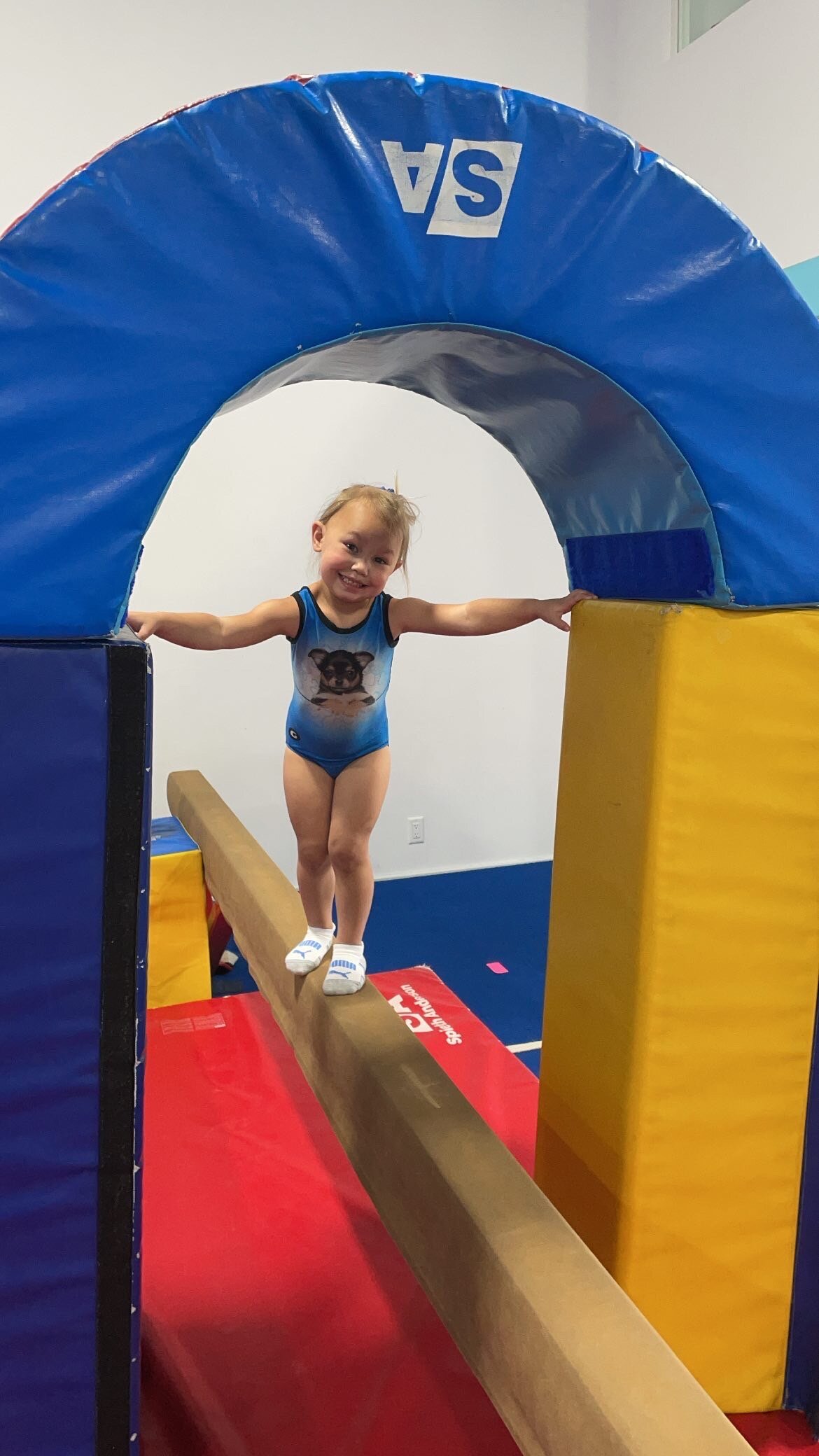 North Valley Gymnastics Society