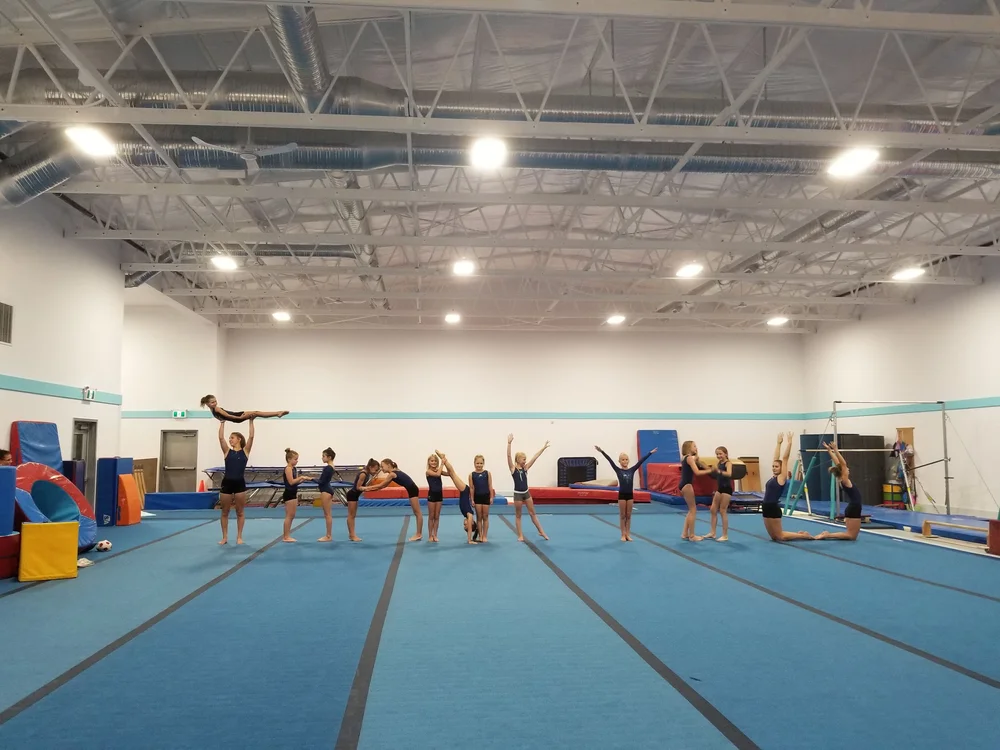 North Valley Gymnastics Society
