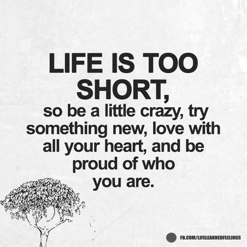 Try Something New Quotes