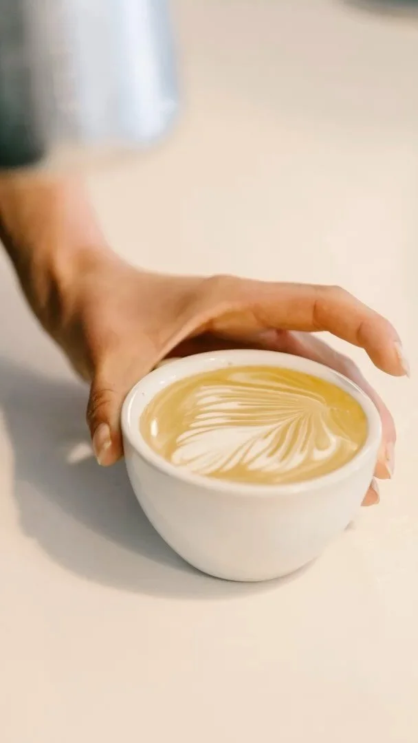 Waterfront Restaurant - The Jellyfish Restaurant & Bar - Mapua Wharf ...