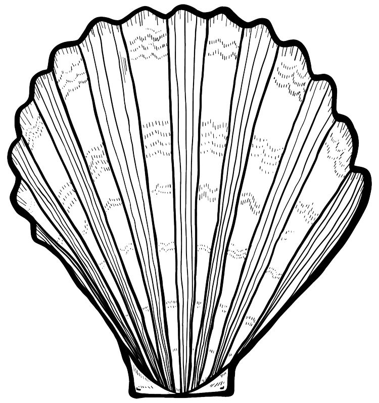 Waterfront Restaurant - The Jellyfish Restaurant & Bar - Mapua Wharf ...