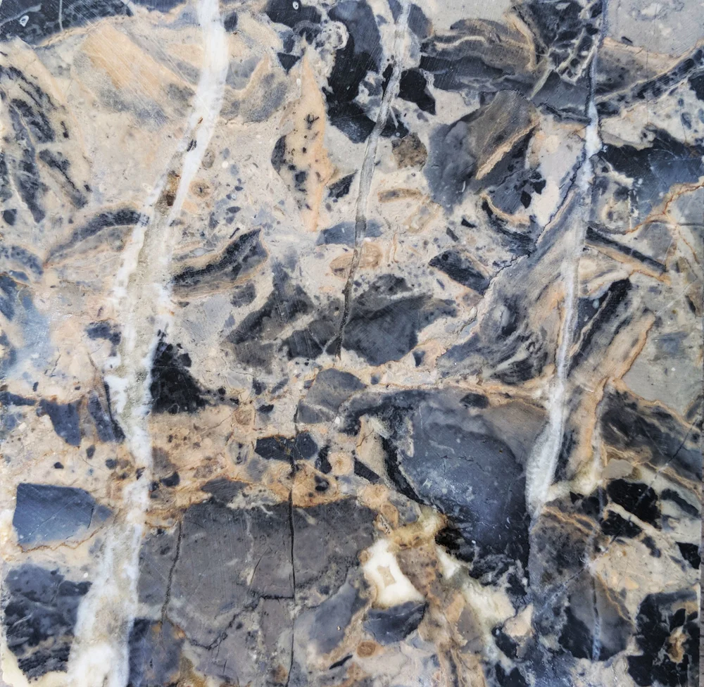 Bellezza Casa - Grey Algae