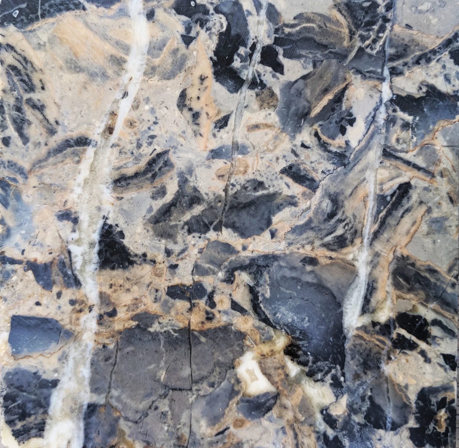 Bellezza Casa - Grey Algae