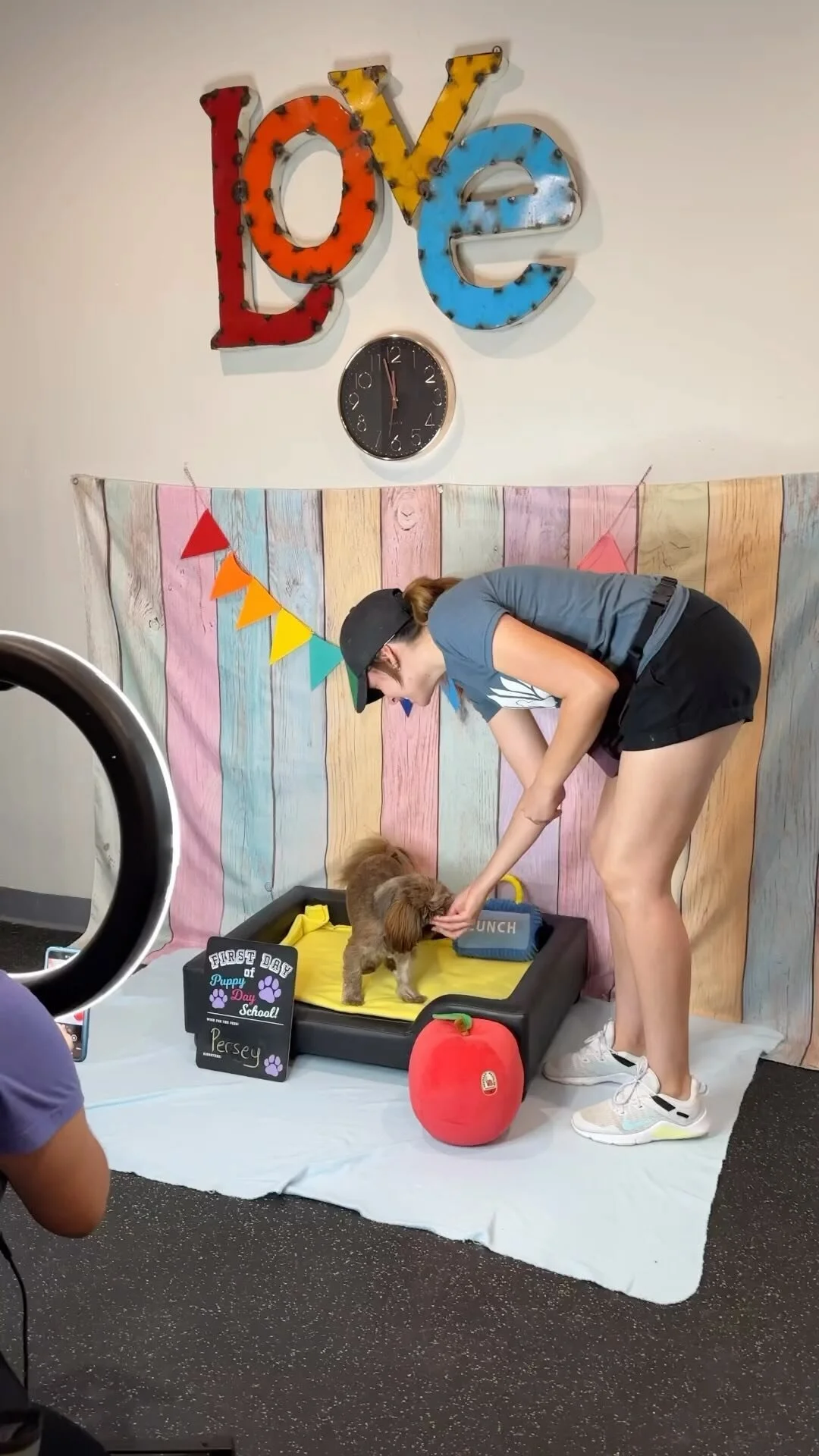 Behavior Questionnaire — Believe in DOG Training by Stephanie Bennett ...