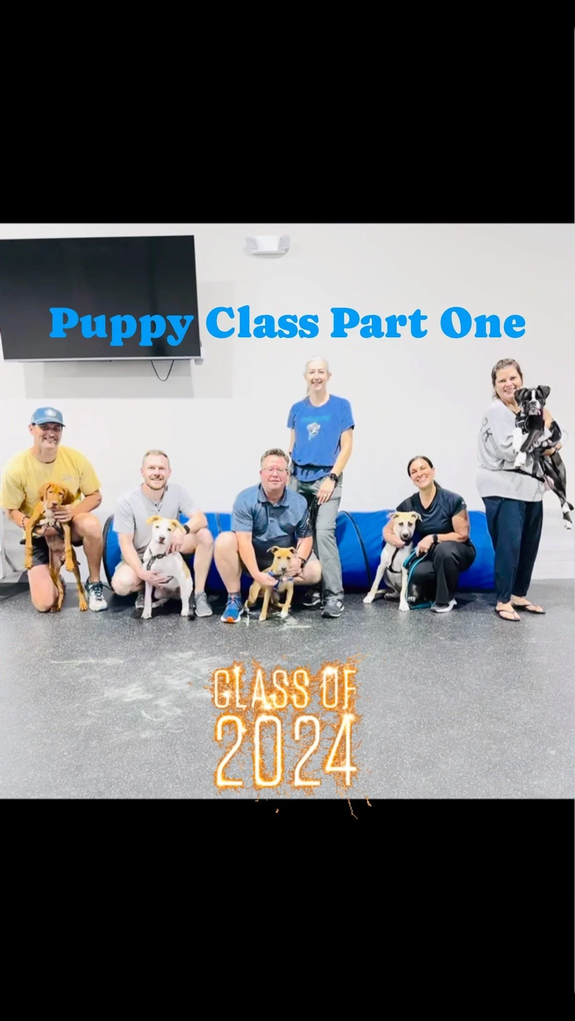 Behavior Questionnaire — Believe in DOG Training by Stephanie Bennett ...