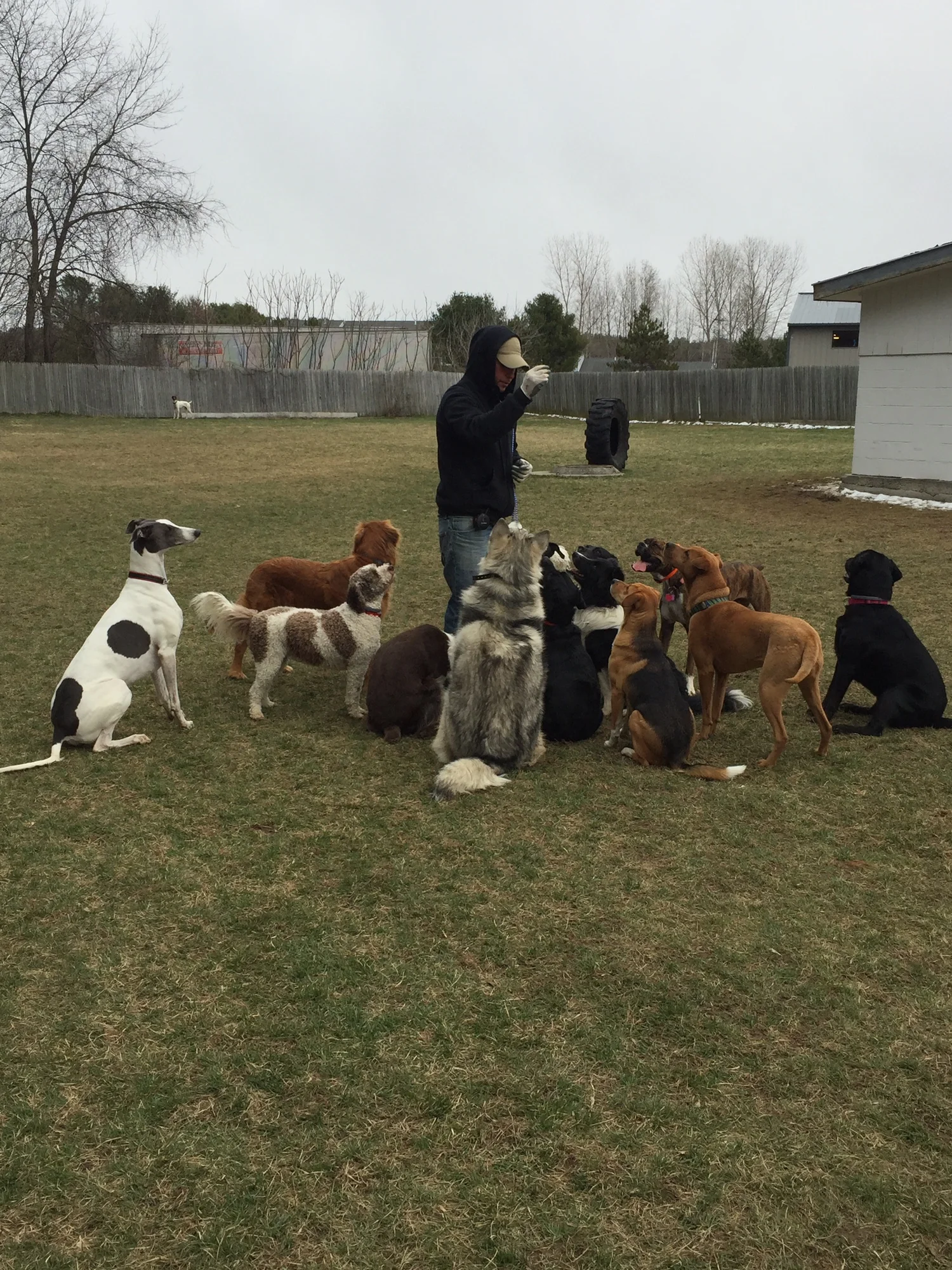 TRAINING — WOOF PACK