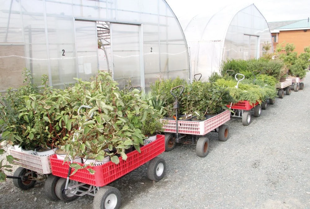 Lester’s Farm Market now an institution in eastern N.L. — Farm Focus