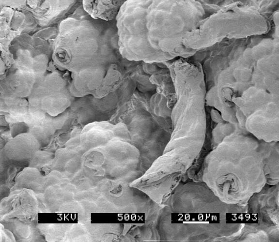 Gallery — Polystar Technologies