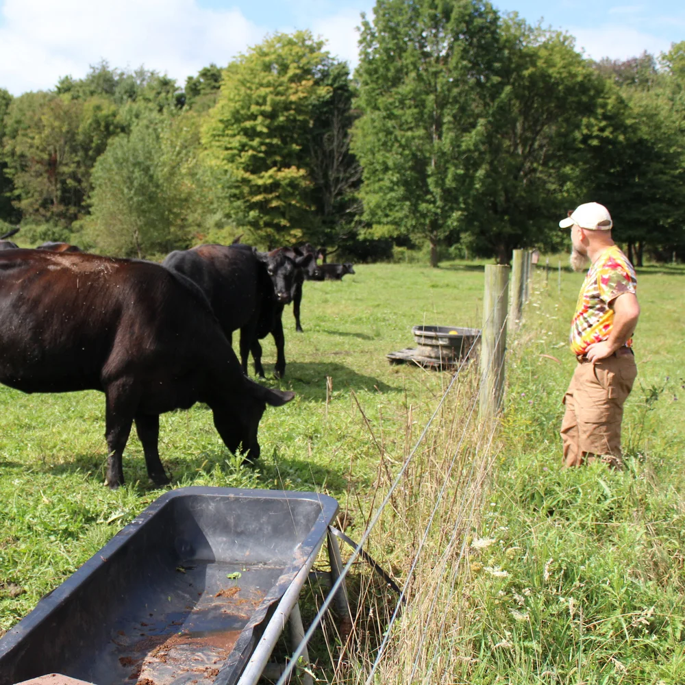 About Us — Walnut Hill Farm