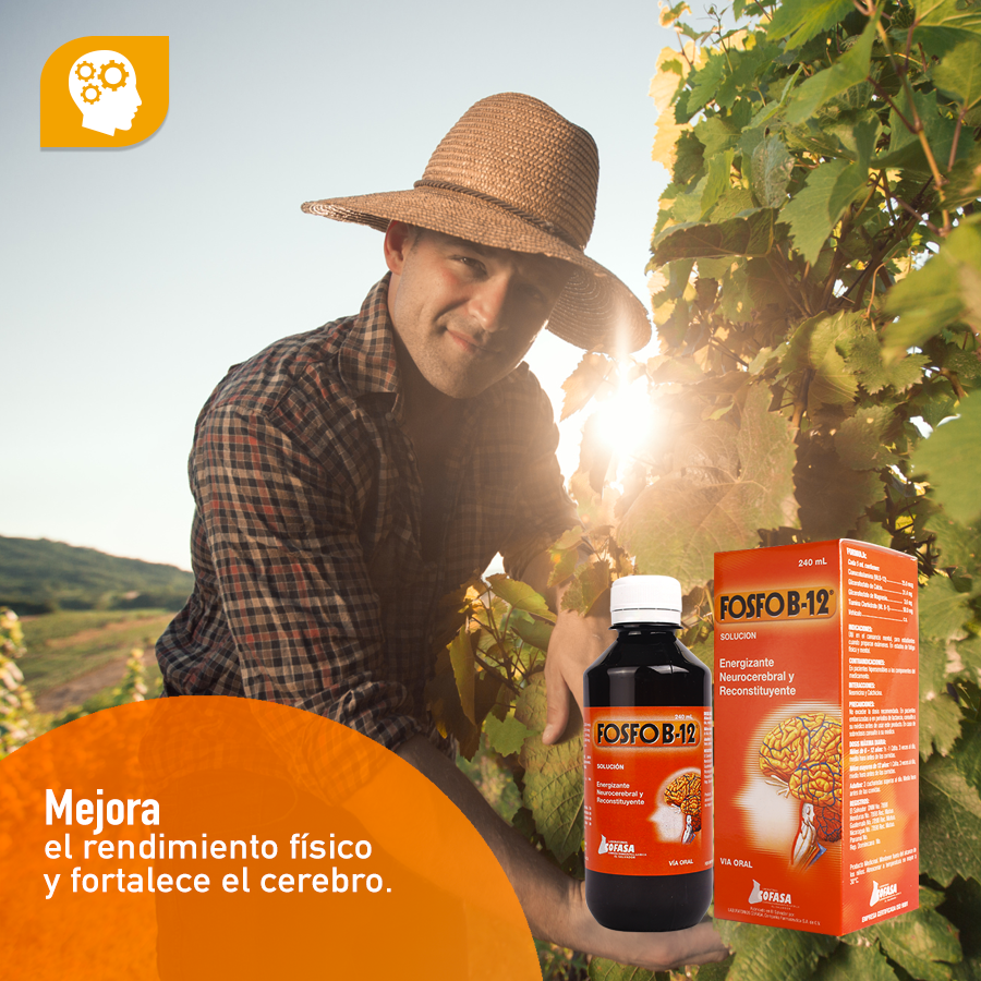 Familia Fosfo B12 — Laboratorios COFASA