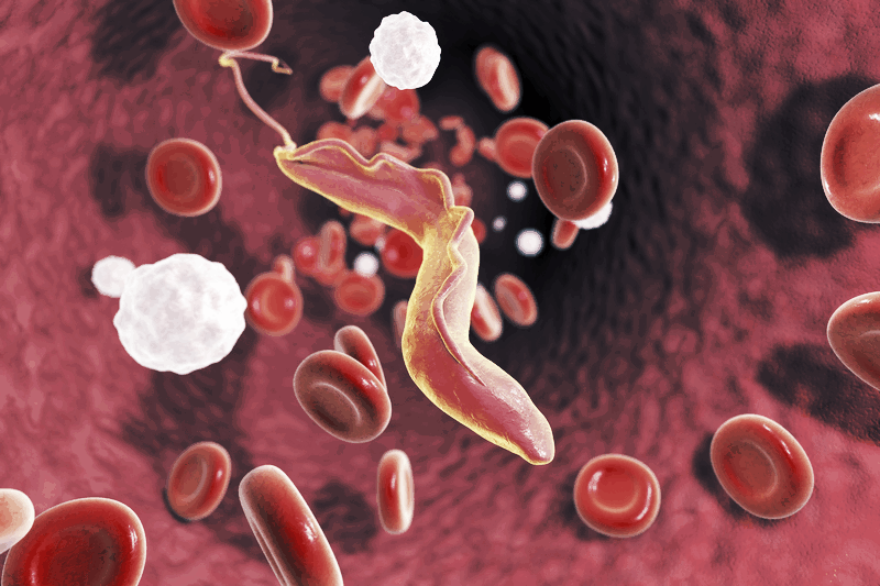 Scimedx ELISA Assays — Scimedx Corporation