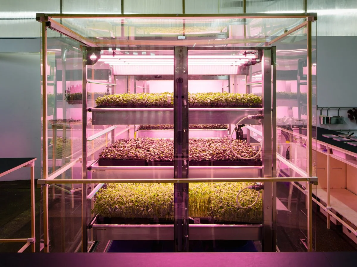 Ikea Launches Innovative Indoor Farm for Rapid Growth