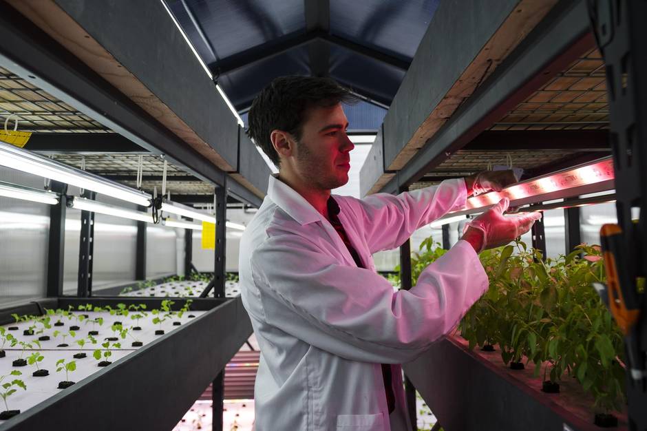 How to feed a hungry city — AGRITECTURE