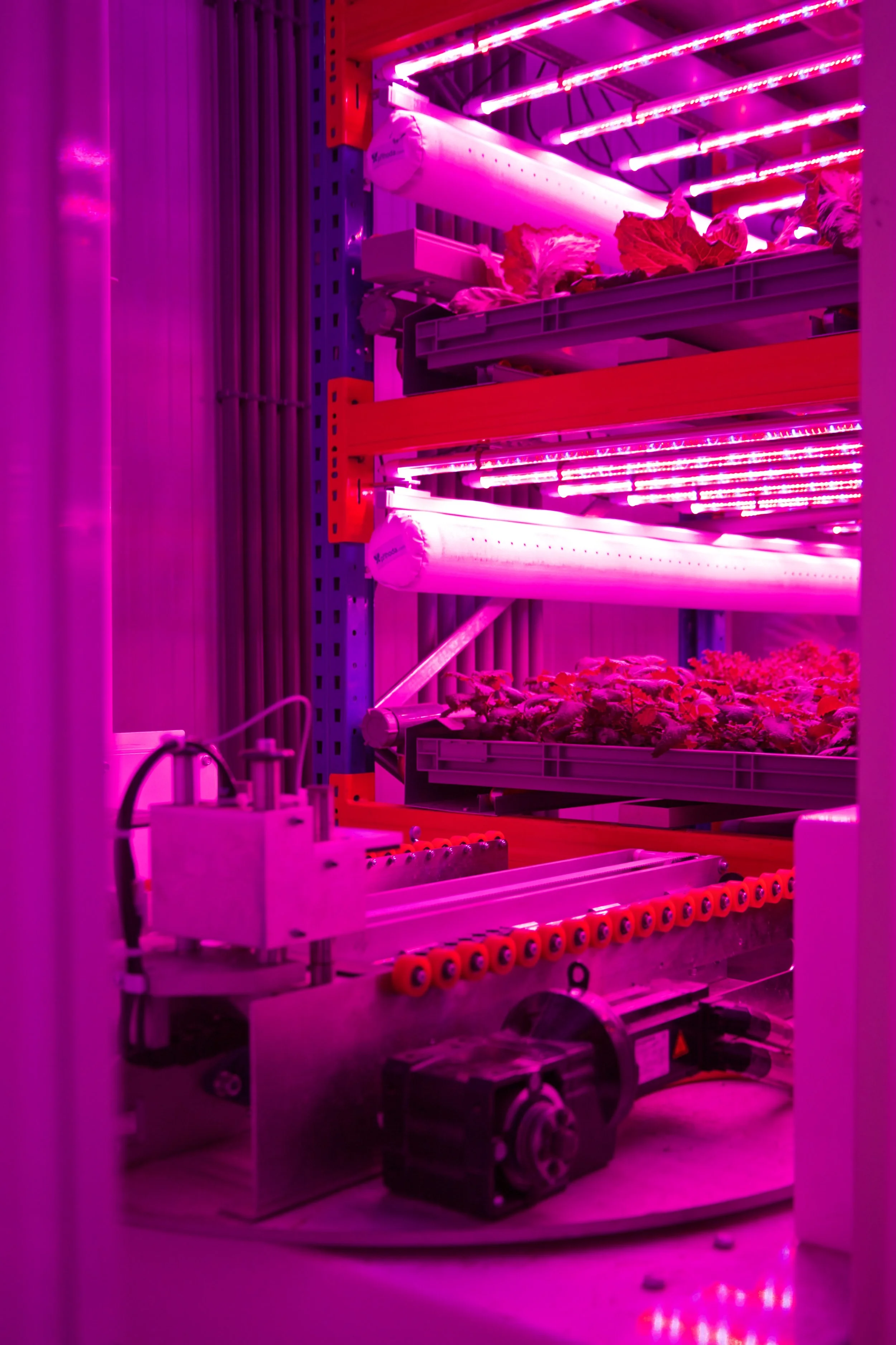 Grower or Tech Company? The Choice Is Yours