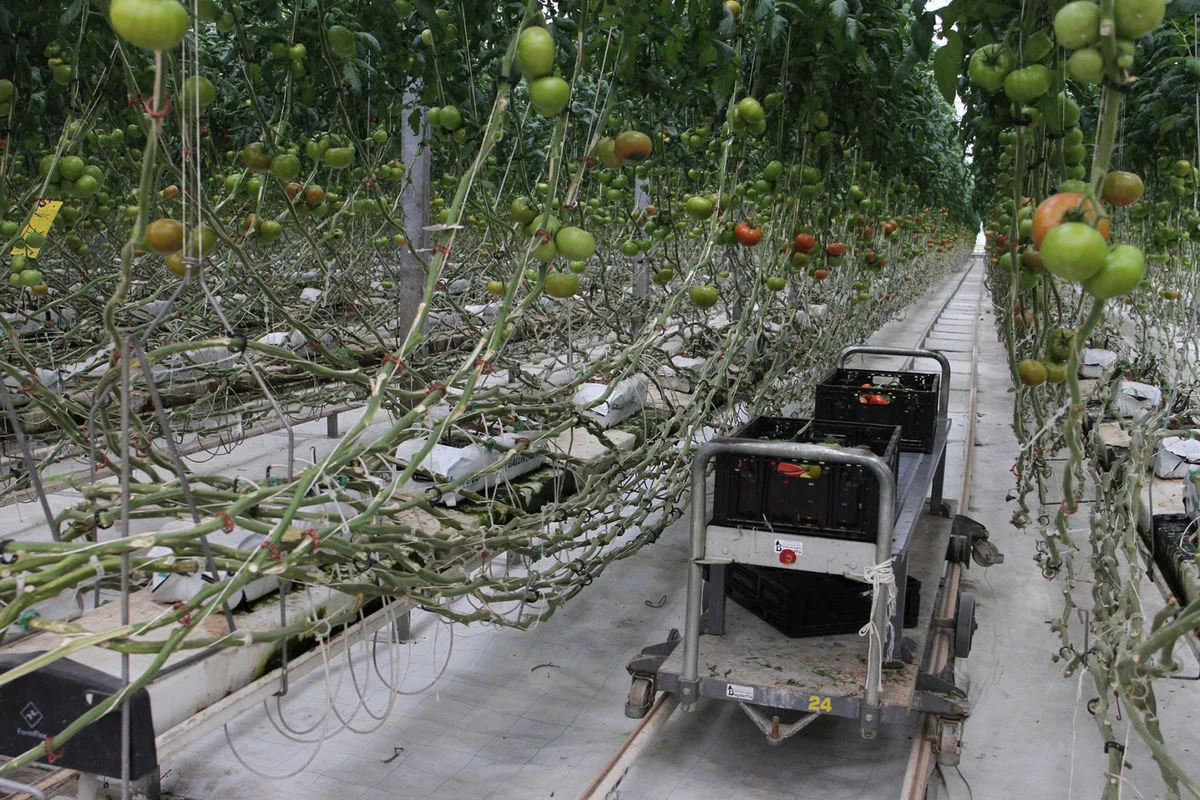 Mexico Invests in AgriTech Parks for Farming’s Future