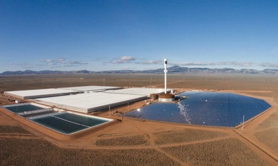6 Innovations in Soil-Less Farming Transforming Agriculture