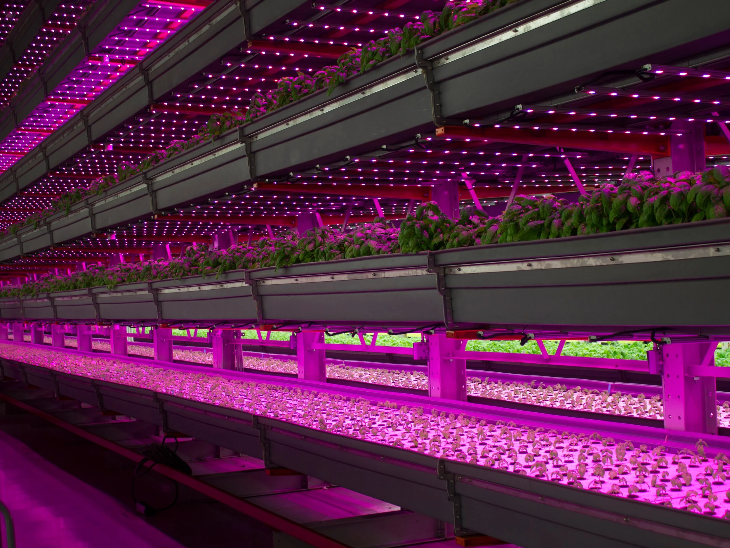 WANT A PROFITABLE FARM? GET TO KNOW THIS DATA — AGRITECTURE