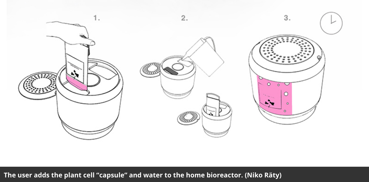 A New Way to Grow at Home: Bioreactors Try to go Mainstream — AGRITECTURE