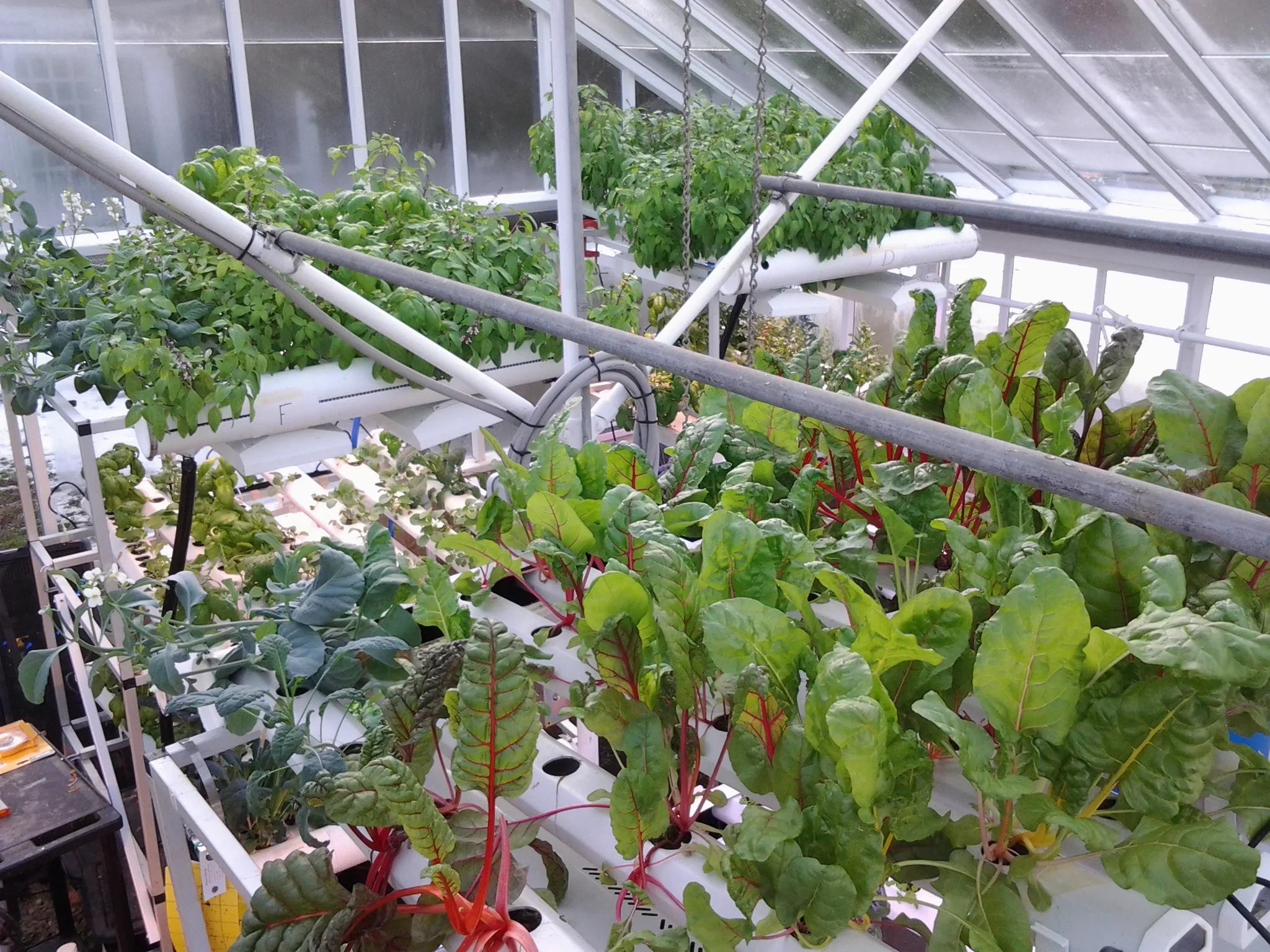 Hydroponics Program Benefits Diverse Student Groups