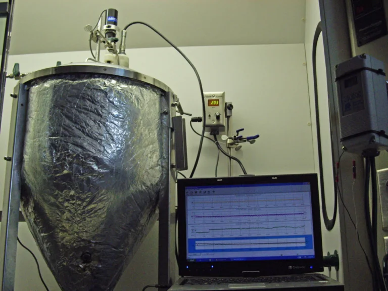 Extreme Bacteria May Boost Organic Veg Production