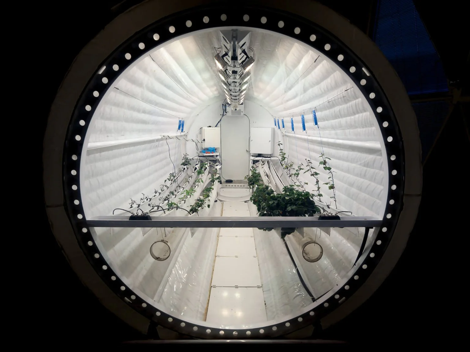 Is this Space Greenhouse the solution to feeding Astronauts on their ...