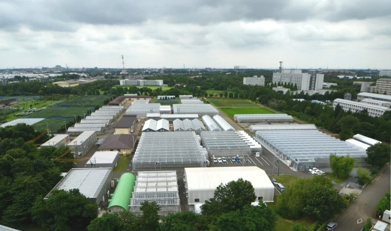 Japan’s Indoor Ag Sector is Becoming More Collaborative — AGRITECTURE