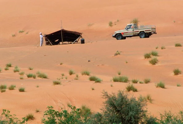 Abu Dhabi, China Partner to Green the Desert