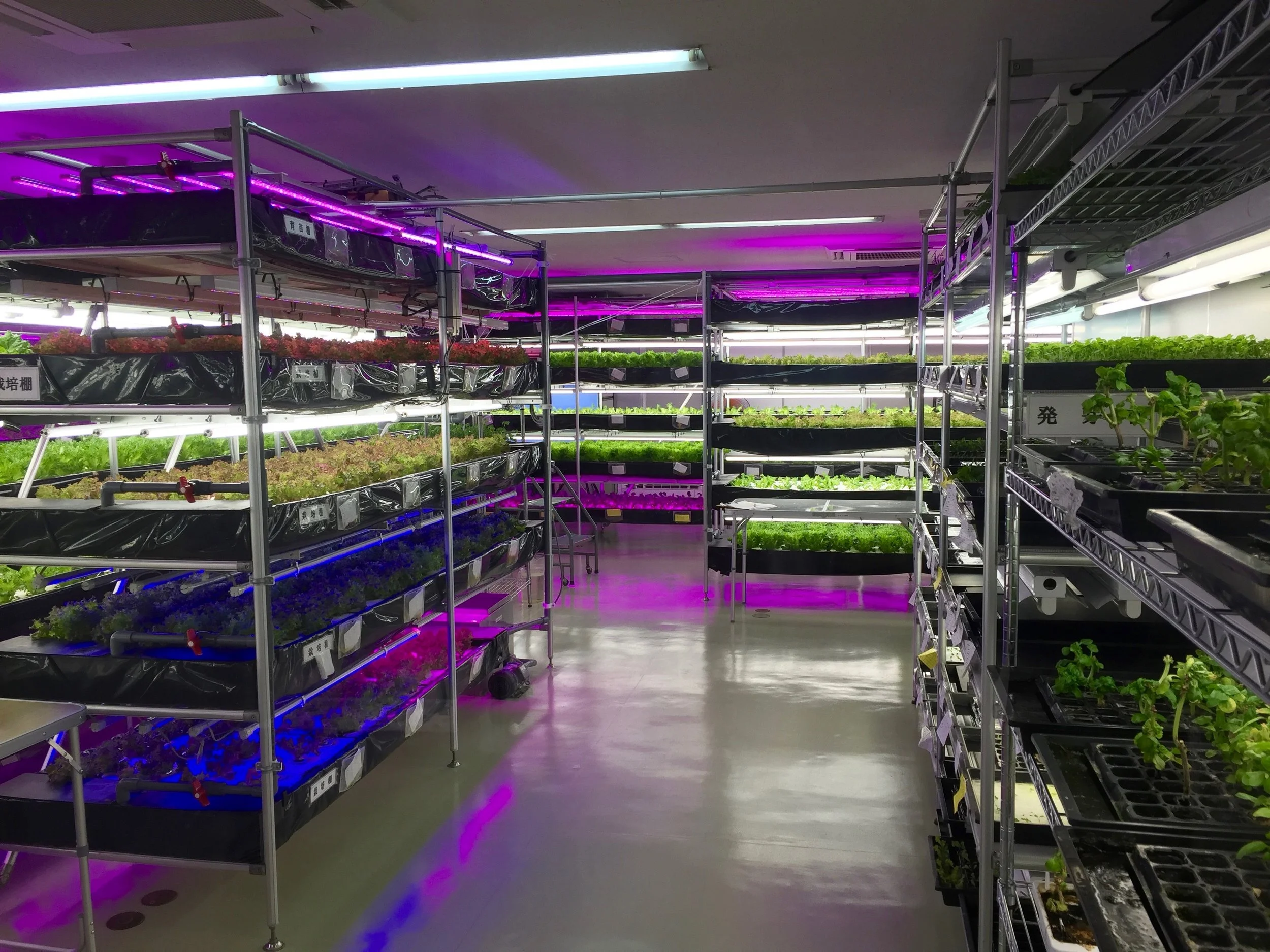 Islands of Agricultural Innovation: Indoor Farming in Asia — AGRITECTURE