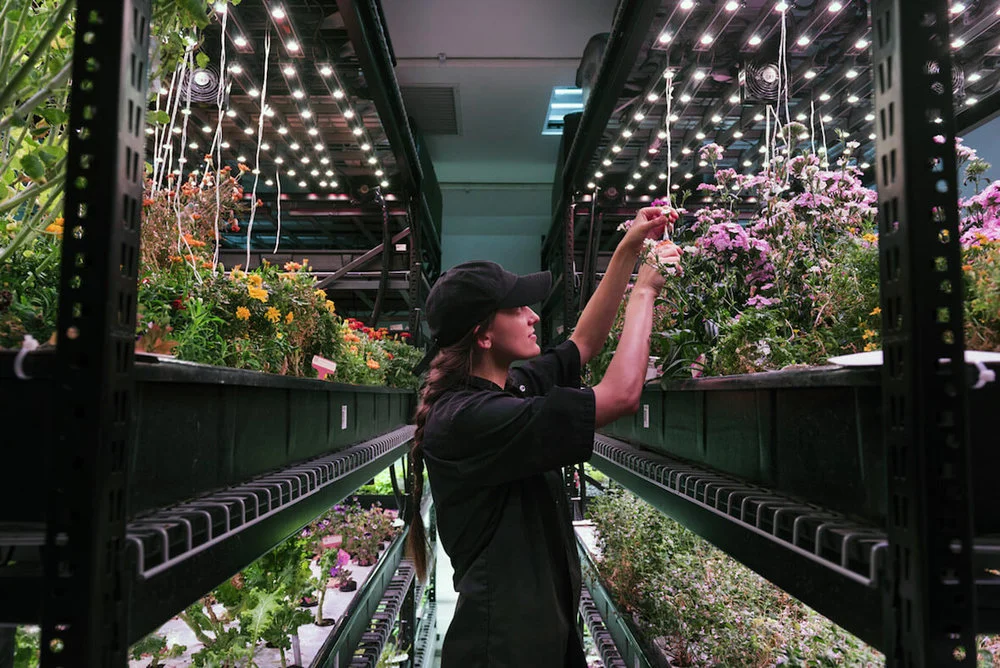 Can High-Tech Indoor Agriculture Transform Local Food? — AGRITECTURE
