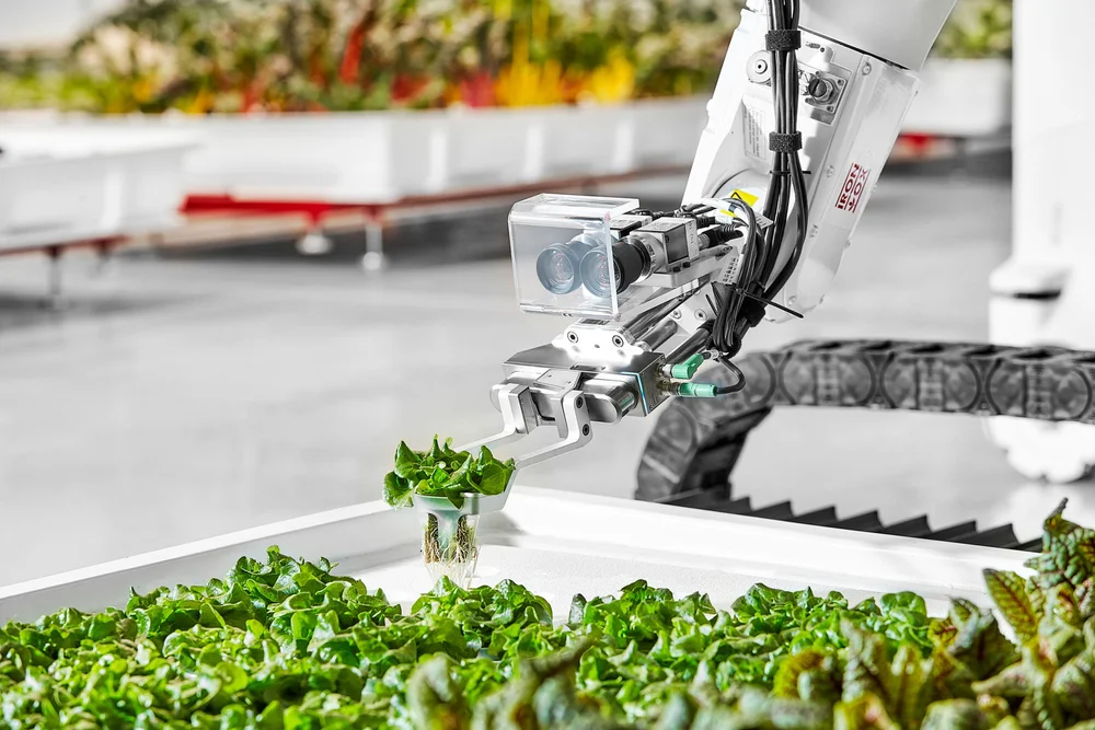 First Robotic Farm in U.S. Opens in the Bay Area — AGRITECTURE