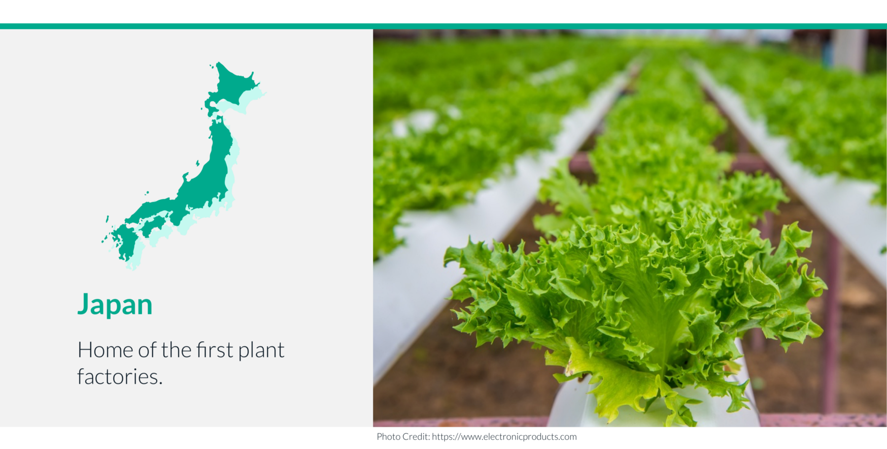 japan — All Blog Posts — AGRITECTURE