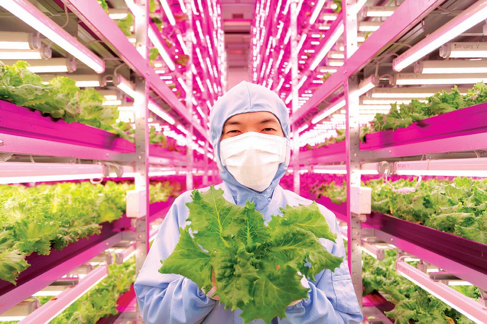 Islands of Agricultural Innovation: Japan — AGRITECTURE