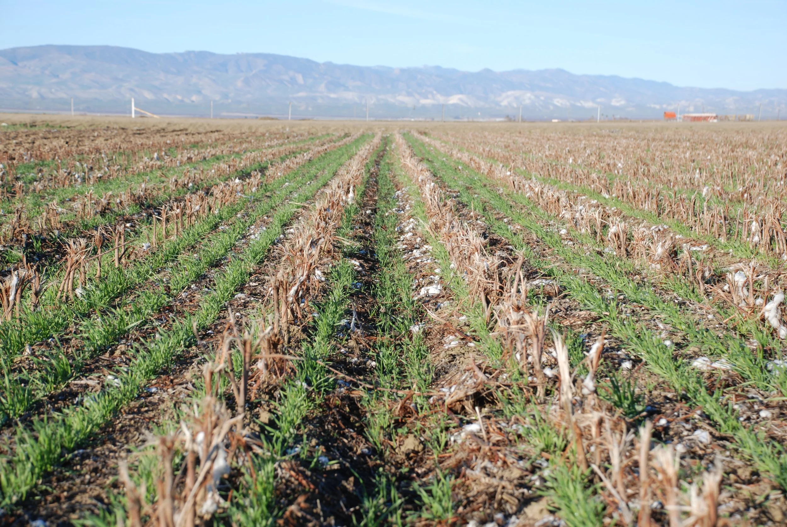 Regenerative Agriculture and Knowledge Sharing — AGRITECTURE