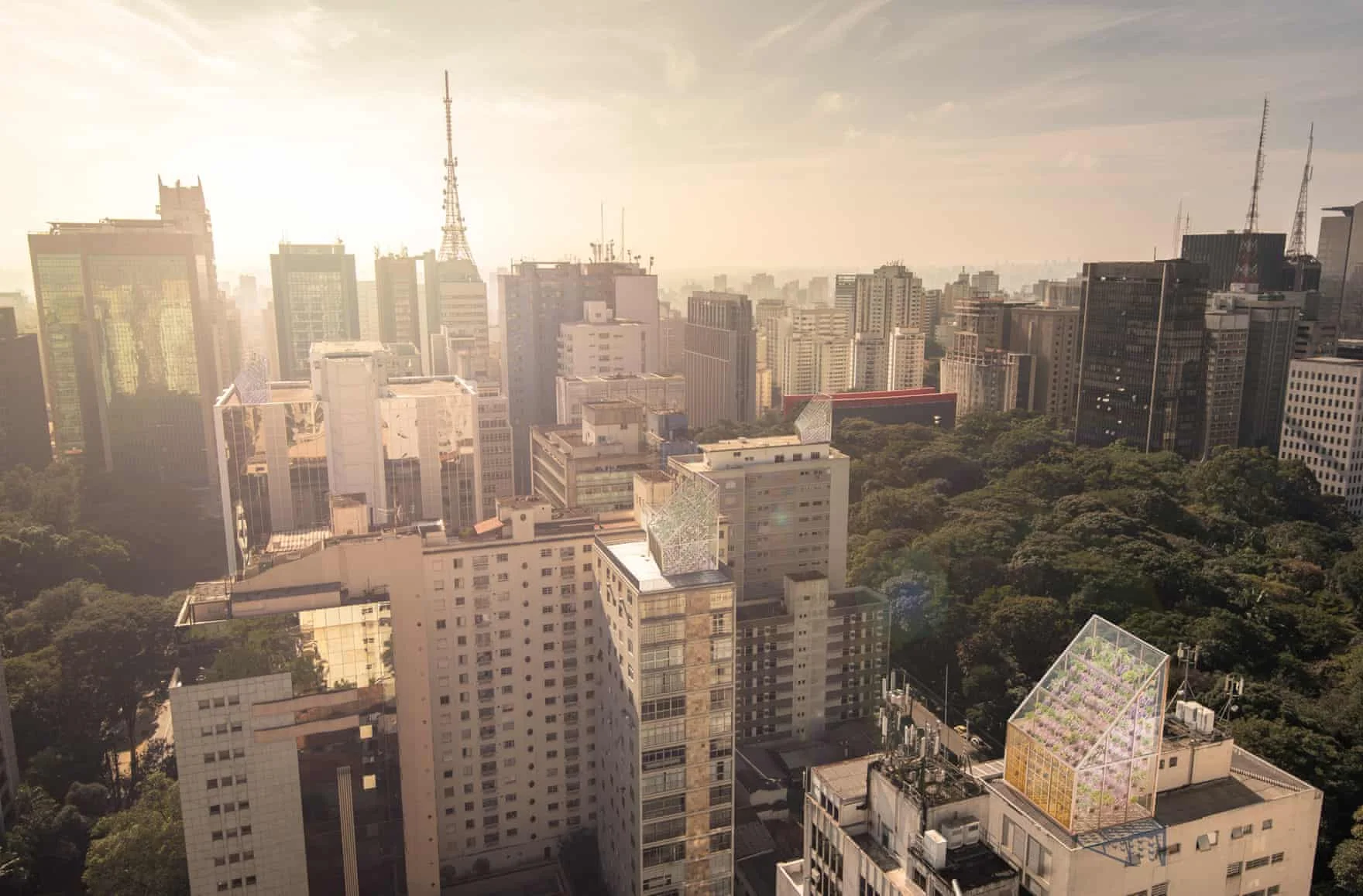 What is Agritecture? — AGRITECTURE