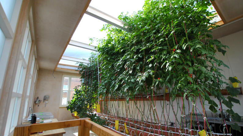 What is Agritecture? — AGRITECTURE