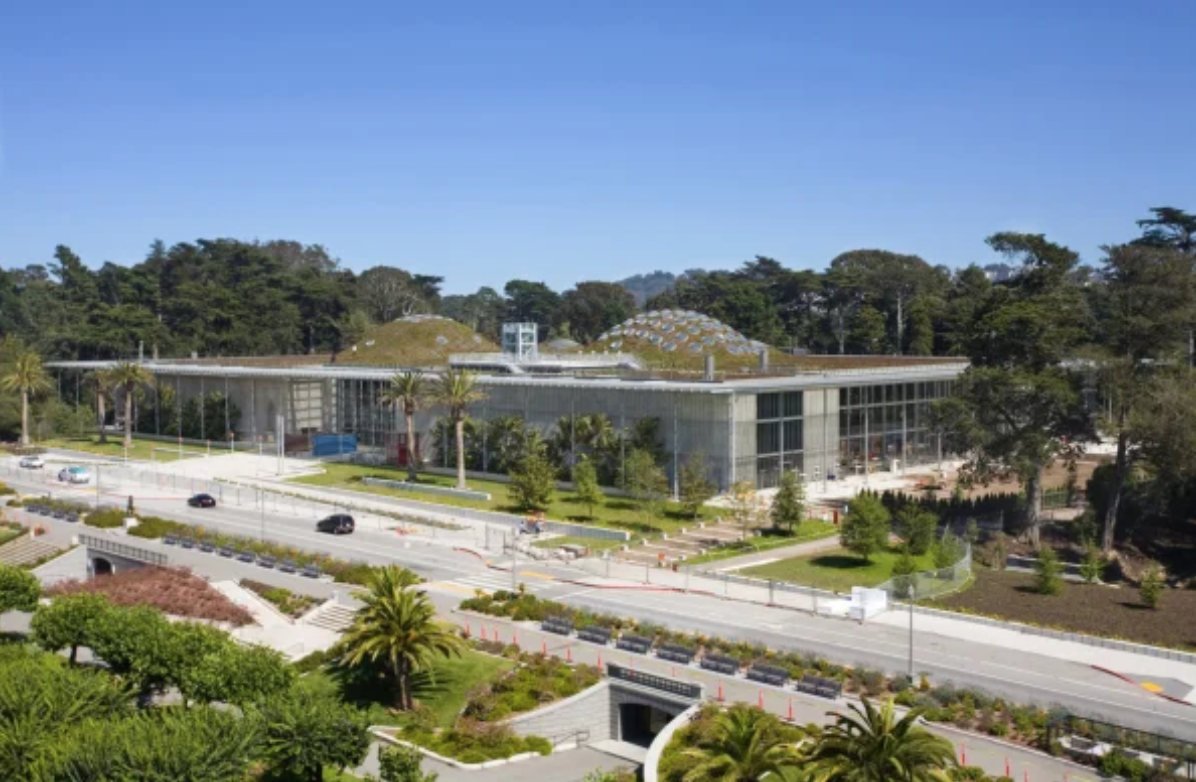 Transforming Urban Spaces for a Cooler Tomorrow