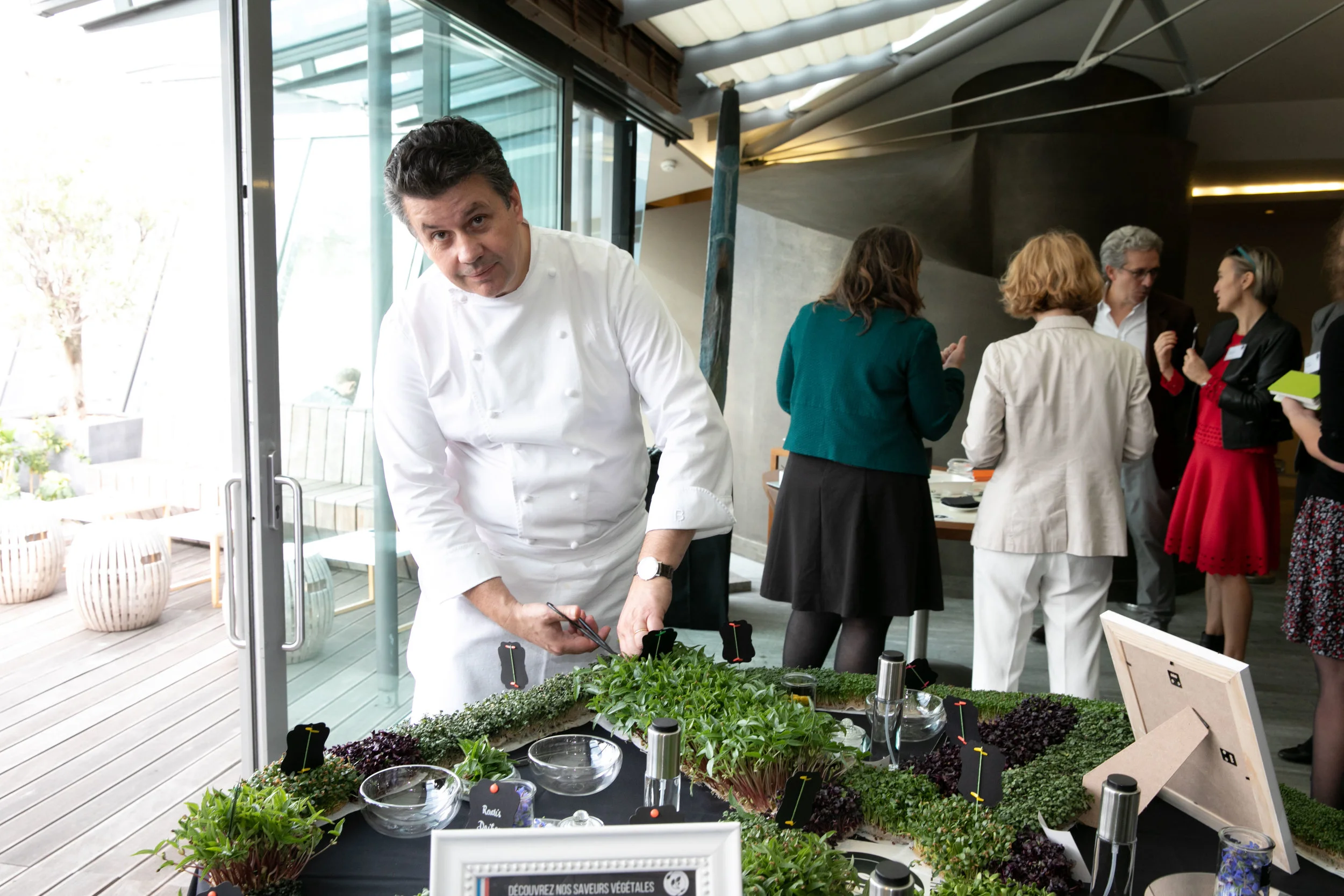Embracing Green: Paris Start-Up's Culinary Revolution