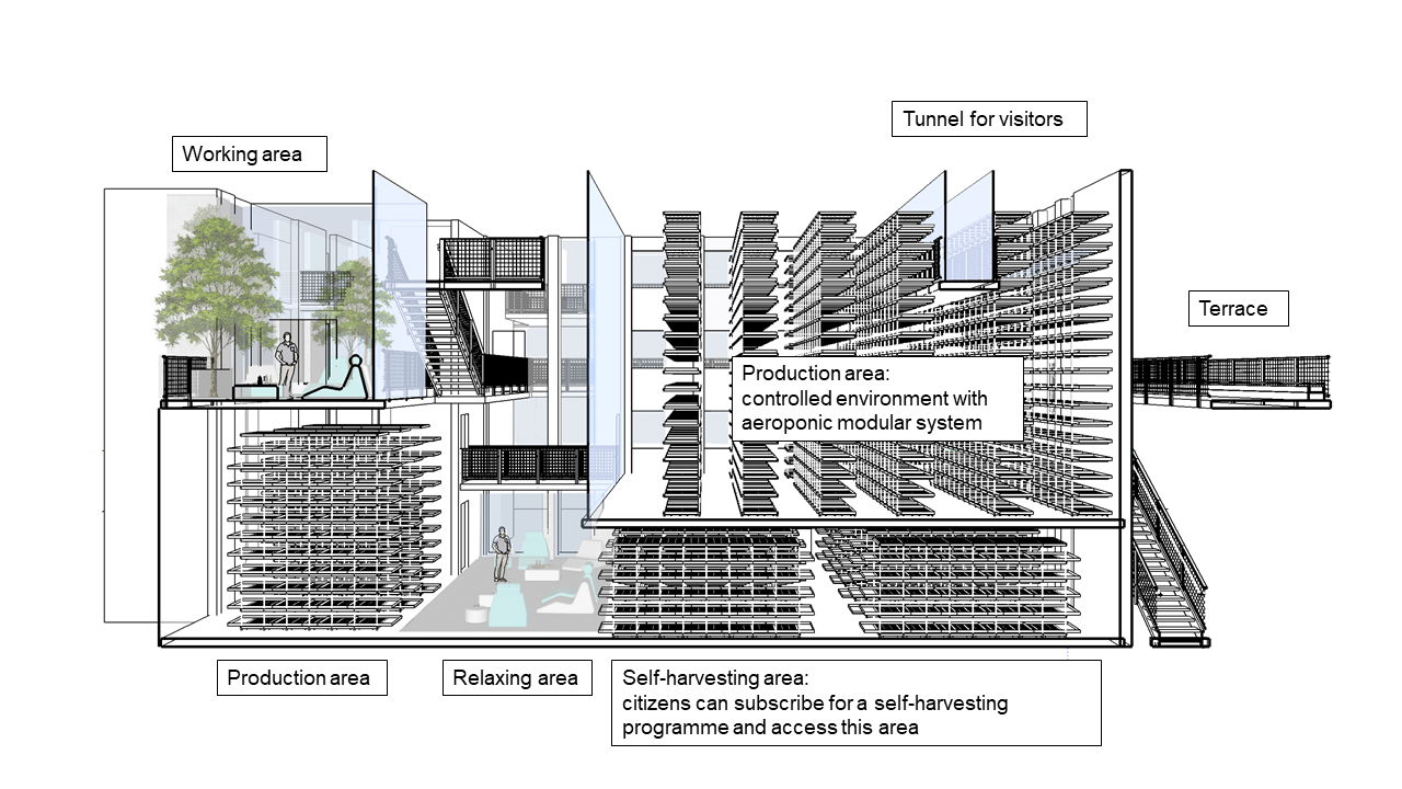 From Prison Walls to Green Halls: A Student Vision