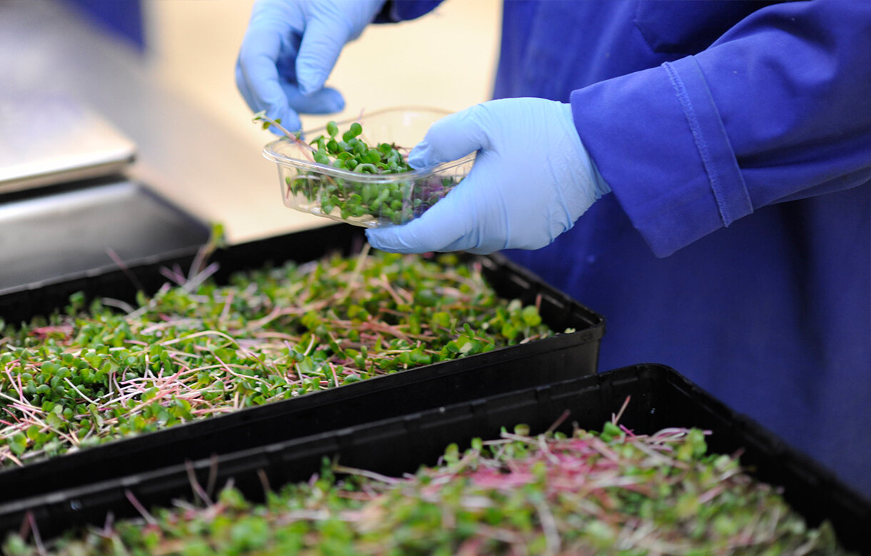 Research Articles about Controlled Environment Agriculture — AGRITECTURE