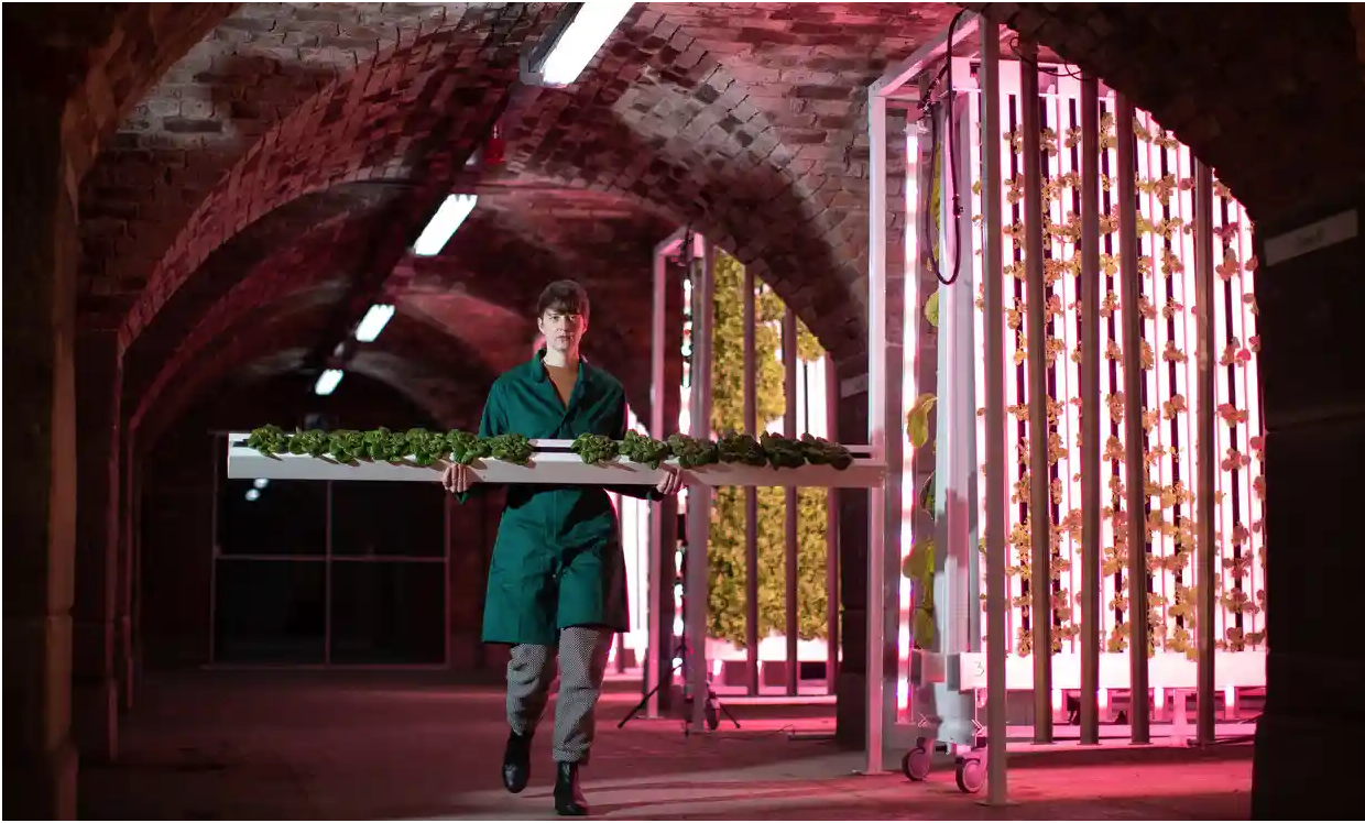 Vertical Farm In Liverpool Is Growing Food Underground — AGRITECTURE