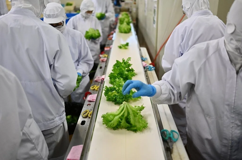 Vertical Farming Takes Off In Japan Amidst Aging Population and ...