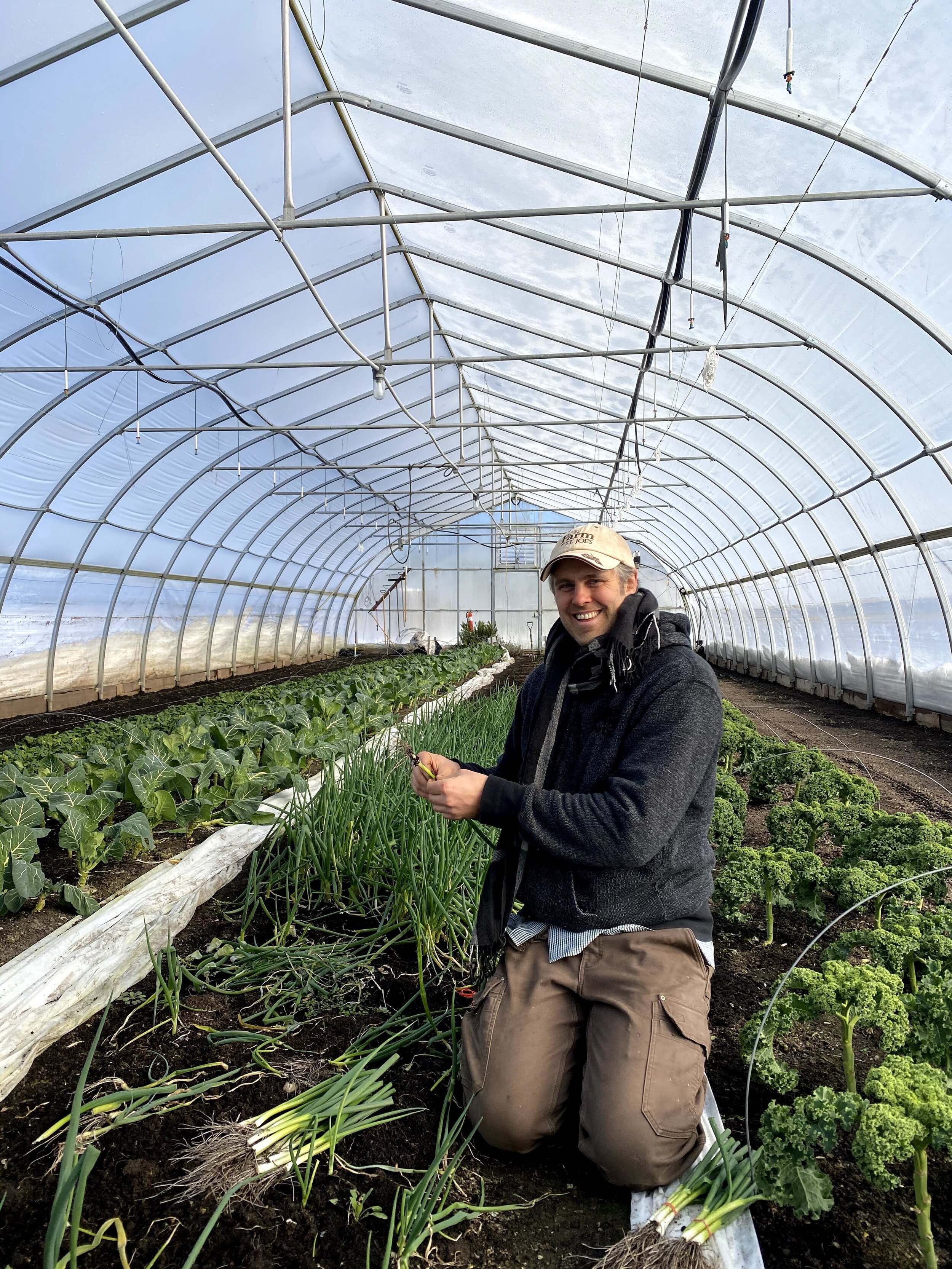 Transforming Hospital Meals: Healing Through Harvests