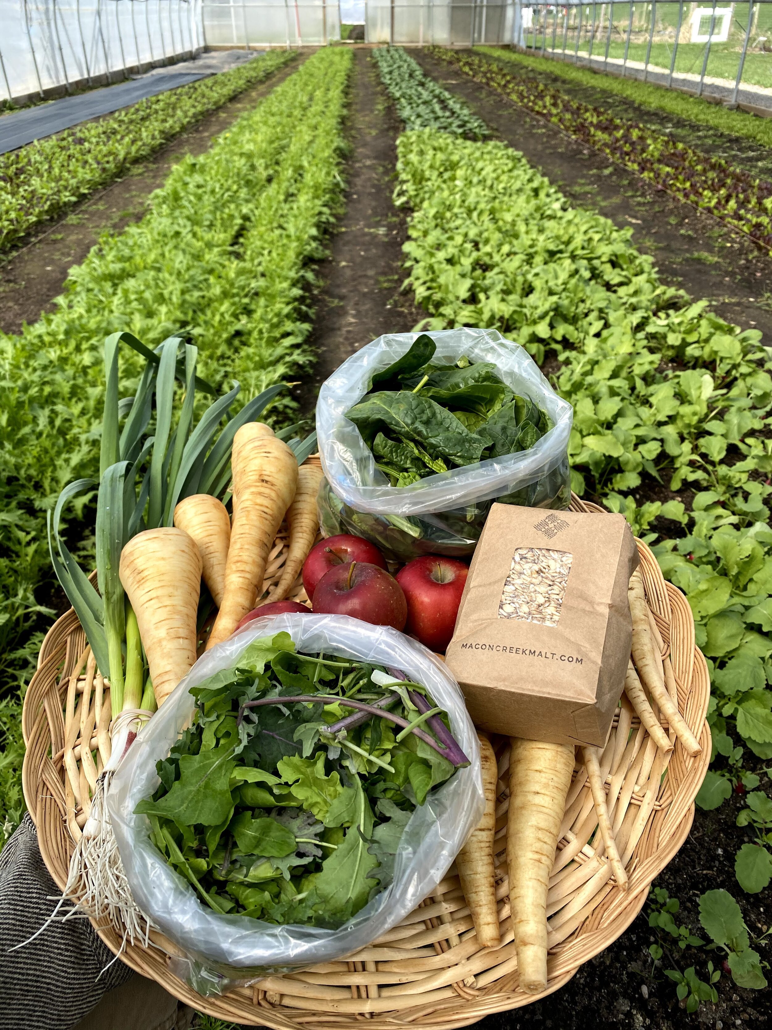 Transforming Hospital Meals: Healing Through Harvests