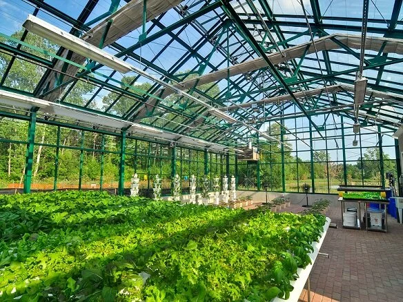 Transforming Hospital Meals: Healing Through Harvests